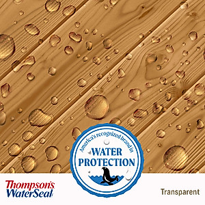 Thompson’s WaterSeal Transparent Waterproofing Wood Stain and Sealer, Desert Tan, 1 Gallon