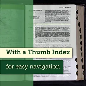 Tyndale NLT Life Application Study Bible, Third Edition, Large Print (LeatherLike, Brown/Mahogany, Indexed, Red Letter) – New Living Translation Bible, Large Print Study Bible for Enhanced Readability