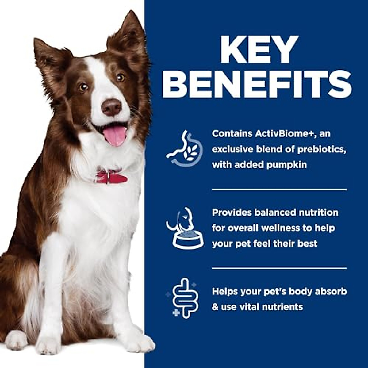 Hill's Science Diet Perfect Digestion, Adult 1-6, Digestive Support, Wet Dog Food, Chicken, Vegetable & Rice Stew, 12.5 oz Can, Case of 12