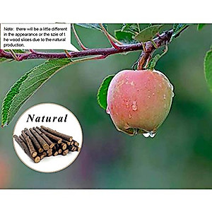 William Craft Apple Sticks Pet Chew Toy Treats for Chinchilla Guinea Pigs Rabbits Squirrel Hamster Bunny