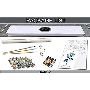 Artmaple Paint by Number for Adults Beginner Students,Ideal Gift Choice for Easter Day and Mother's Days, Birthday, DIY Acrylic Painting Kit for Room Decor (16x20, A Bunch of Flowers)