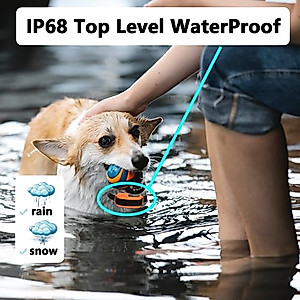 UltraCrab Indoor Pet Barrier for Dogs,Wireless Indoor Electric Fence,Pet Gate, Keeps Areas Off Limits,Dog Home Proofing, Waterproof/Rechargeable/Beep/Static Training Collar,Orange Kit