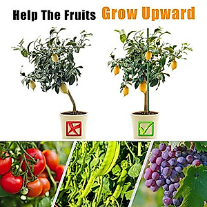 LAVEVE Garden Stakes 48 Inches Heavy Duty Steel Tomato Stakes, Plastic Coated Support Stakes for Securing Trees, Climbing Plants, Cucumber, Beans, Pack of 20