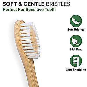 VIVAGO Biodegradable Bamboo Toothbrushes 10 Pack - BPA Free Soft Bristles Toothbrushes, Eco-Friendly, Compostable Natural Wooden Toothbrush