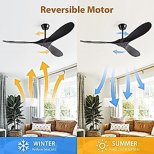 WERBUY 60 Inch Ceiling Fan without Light, Remote Control, for Patio, Ceiling fans for Living Room, Bedroom, Office, Indoor, Outdoor