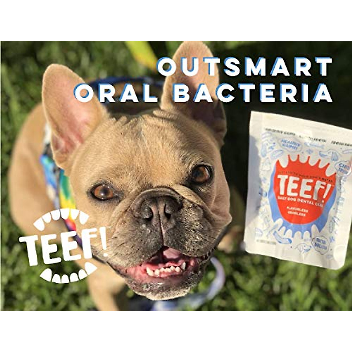 TEEF! Daily Dental Care – Natural Dog Dental Water Additive, 30 Day Supply – Award Winning Formula Fights Plaque and Tartar – No Brushing, Add to Water Bowl – Say Hello to Healthier Gums