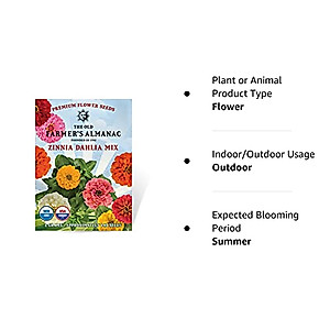 The Old Farmer's Almanac Zinnia Seeds (Dahlia Mix) - Approx 200 Flower Seeds - Premium Non-GMO, Open Pollinated, USA Origin