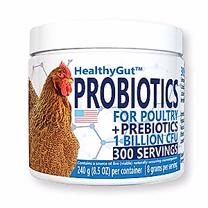 Equa Holistics HealthyGut Probiotics for Chickens & Poultry, All-Natural Digestive System Dietary Supplement (30 Scoops)