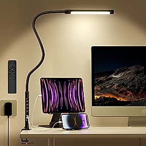 Beeih LED Desk Lamp, Desk Lamp with 2 USB Charging Ports (Type-C & A), Clip on Desk Lamp for Home Office, Dimmable 6 Color Modes & 6 Brightness, Eye-Caring Desk Lamp with Clamp, Aluminum Alloy