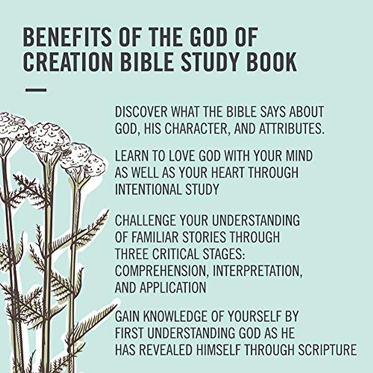 God of Creation - Bible Study Book: A Study of Genesis 1-11
