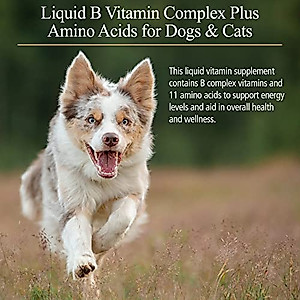 Rx Vitamins Amino B Plex for Pets - B Vitamin Complex Plus Amino Acids for Dogs & Cats - Vitamin Supplements for Dogs' & Cats' Total Body Support - 4 oz