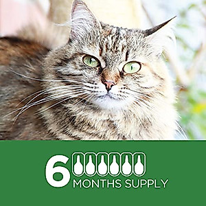 TevraPet Actispot II Flea Treatment for Large Cats 9+ lbs | 6 Doses | Powerful Prevention and Control