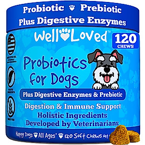 Well Loved Probiotics for Dogs and Joint Supplement for Dogs, Well Loved Dog Chews, Made in USA, Vet Developed, Dog Probiotic Chews, Glucosamine for Dogs