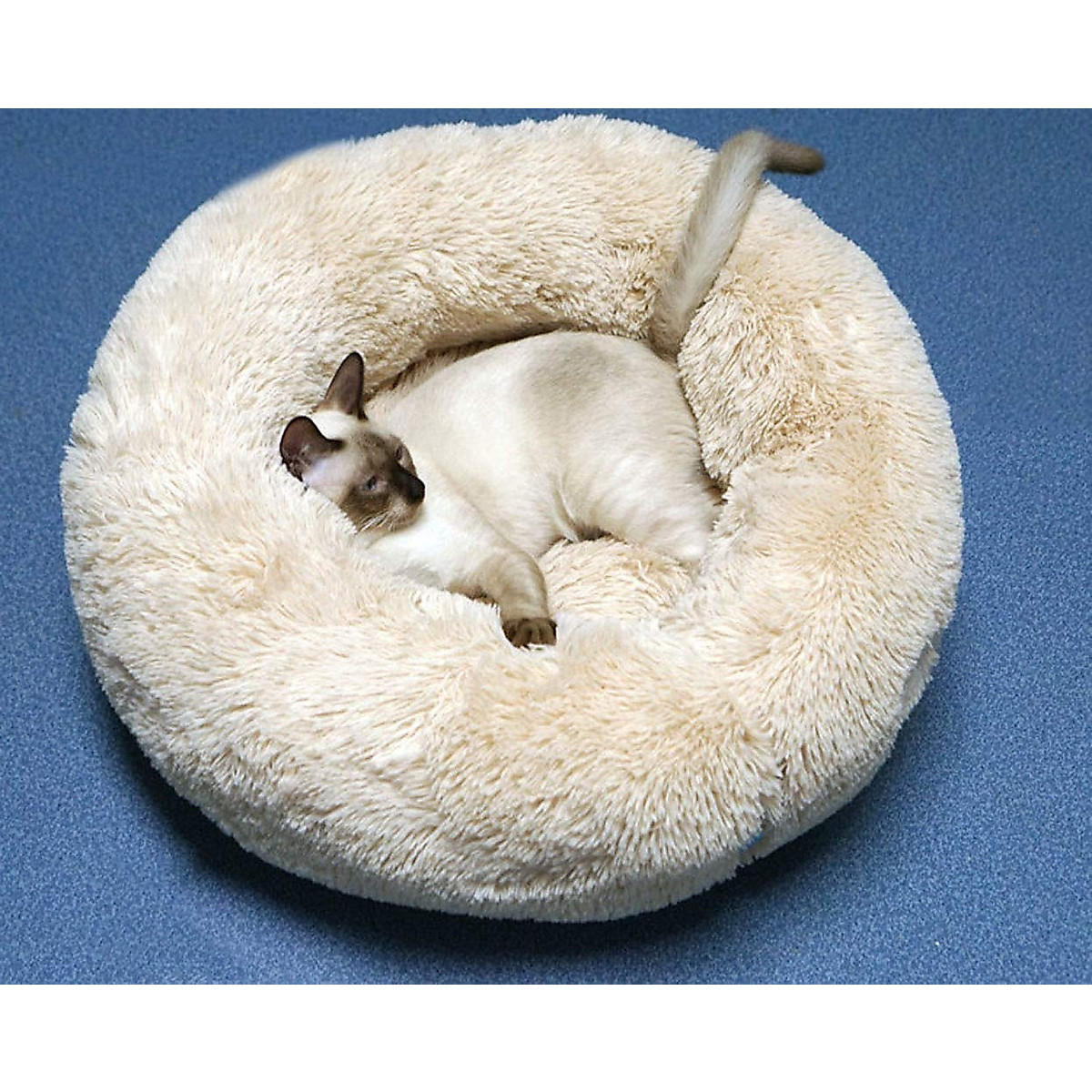 BODISEINT Modern Soft Plush Round Pet Bed for Cats or Small Dogs, Mini Medium Sized Dog Cat Bed Self Warming Autumn Winter Indoor Snooze Sleeping Cozy Kitty Teddy Kennel (20'' D x 8'' H, Champagne)