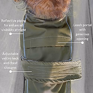 DJANGO City Slicker All-Weather Dog Jacket & Water-Repellent Raincoat with Reflective Piping (Medium, Kombu Green)