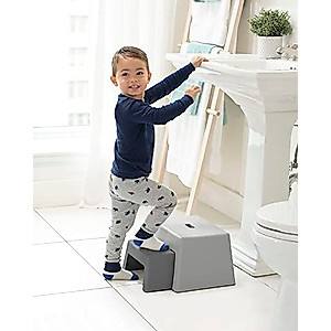 Skip Hop Toddler Step Stool, Double Up
