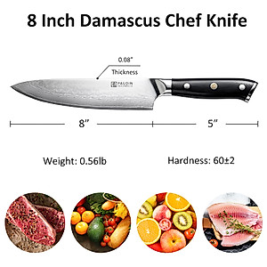 PAUDIN Damascus Chef Knife, 8 Inch Kitchen Knife, 67 Layers Damascus Steel Knife Japanese VG10 Core, Professional Chefs Knife with Ergonomic G10 Handle