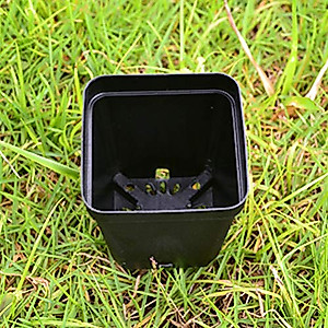 NUOBESTY 2 Inch Black Square Flower Pots Small Plastic Plant Pots 100PCS Square Flower Plant Pots Mini Succulent Pot for Cactus Bonsai