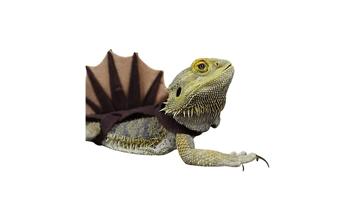 HAICHEN TEC Bearded Dragon Dinosaur Costume Handmade Outfit Felt Apparel Harness for Crested ...