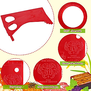 Kathfly 4 Pcs Dungeness Crab Gauge Measure Clam Measuring Tool for Multi Shrimps Lobster Shellfish, Red