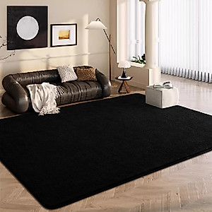 Larhom Large Modern Area Rugs for Bedroom Living Room, 5x7 Feet Black Rug, Thickened Memory-Foam Indoor Carpets, Minimalist Rug for Boys Girls, Soft, Non-Slip and Machine-Washable