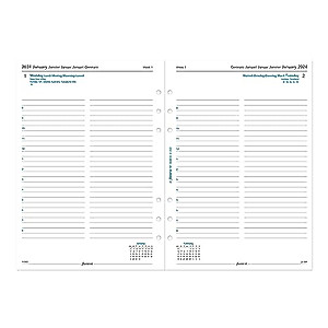 Filofax Calendar Diary Refill, A5 Size, Day on One Page with Appointments, White Paper, Multilingual: Five Languages, 2024 (C68515-24)