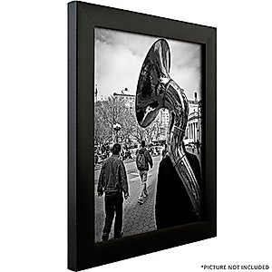 Craig Frames 16x20 Black Picture Frame, 1" Smooth Finish, Matte Poster Display