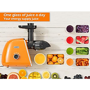 FEZEN Cold Press Juicer, Juicer Machines Vegetable and Fruit, Electric with High Juice Yield, Easy to Clean Masticating for Nutrient Fruit Vegetables, Pure Juice, Quiet Motor