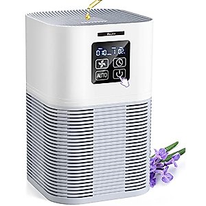 Air Purifier, Home Air Cleaner For Bedroom Large Room up to 600 sq.ft, VEWIOR H13 True HEPA Air Filter with Fragrance Sponge 6 Timer Settings Quiet Air Purifiers for Pets Dander Odor Dust Smoke Pollen