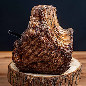 MeatStick X (One Probe Set) | Smart Wireless Meat Thermometer | 260ft Range Digital Food Probe with Bluetooth | for Smoking, Grilling, BBQ, Air Fryer, Deep Frying, Oven, Sous Vide, Rotisserie