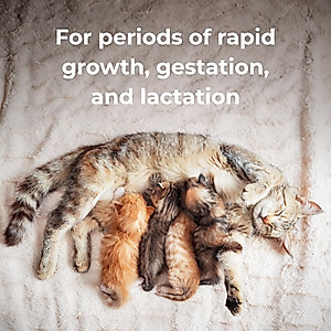 PetAg® Calcium Phosphorus Tablets for Cats & Dogs, 50ct