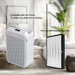 Rioche TT-AP003 Premium H13 True HEPA Replacement Filter, Compatible with TaoTronics TT-AP003 Air Purifier, 3-in-1 Premium H13 True HEPA Filter, 2-Pack