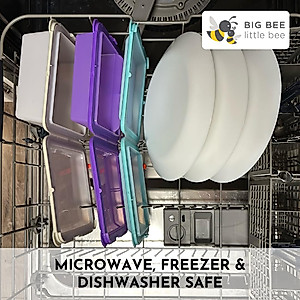 Big Bee, Little Bee - SoftShell Reusable Silicone Food Storage Container with Lid, Easy to Clean, Lays Flat, Snaps Closed, Microwave, Freezer & Dishwasher Safe, As Seen on Shark Tank (Lime)