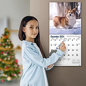MICASA Corgis 2024 Wall Calendar 12 Month | 12" x 24" Open | Thick & Sturdy Paper | Giftable | Calendar 2024