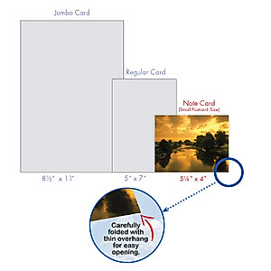 The Best Card Company 10 Assorted Nature Thank You Notecards Box Set 4 x 5.12 Inch with Envelopes (10 Designs, 1 Each) Sun Settings M1740TY