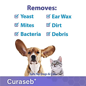 BEXLEY LABS Curaseb Dog Ear Cleaner Solution – Washes Away Debris, Odors and Supports Healthy Ear Health – No Sting Formula, 8oz
