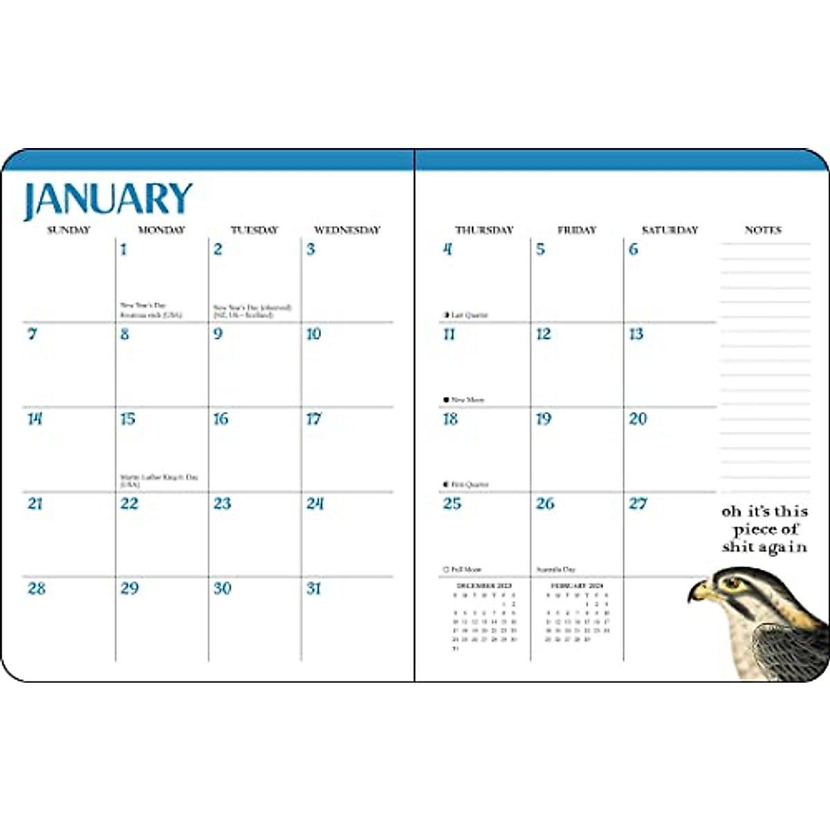 Effin' Birds 12-Month 2024 Monthly/Weekly Planner Calendar