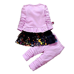 Spring Autumn Infant Little Baby Girls Clothing Set 2 Pieces Set Long Sleeve T Shirt and Skirt Pants for Children Kids Gilrs Toddler Baby (6-12m, Purple)