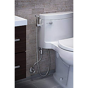 Brondell CSL-40 CleanSpa Luxury Hand Held Bidet Shattaf Sprayer, Silver