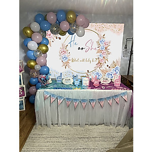 Baby Backdrop for Photography He or She Paty Background 7x5FT Gender Reveal Party Backdrop Baby Shower Decoration Photo Booth Supplies Studio Props Vinyl (84x60 inch)