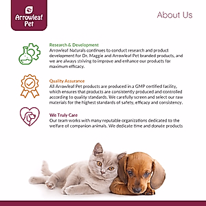 Arrowleaf Pet Liver Care by NaturPet Inc for Cats and Dogs | with Milk Thistle | Supports Body's Detoxification Processes | 100mL Herbal Tincture