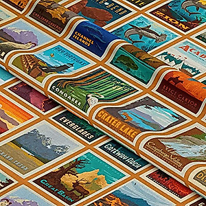 Riley Blake National Parks Posters 23”x43” Panel with Sand Borders, Quilting, Apparel and Home Decor Fabric