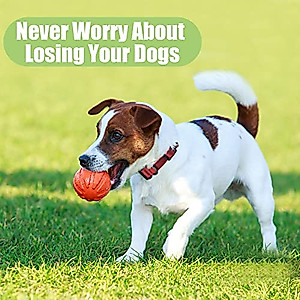 CYFIBYNO 3 Pack AirTag Dog Collar, Reflective Apple Air Tag Dog Collar, Dog Collar with AirTag Holder Adjustable Nylon Air Tag Accessories Pet Collar for Small Medium Large Dogs (Small (12.5"-14"))