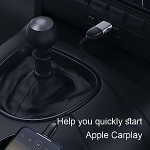 JIALUU USB C to USB Adapter [2 Pack], USB 3.0 Female to USB C Male Adapter, OTG Adapter Female Data Connector, Grey Aluminum Alloy Adaptor for Laptop, PC, Tablet, Cell Phone…