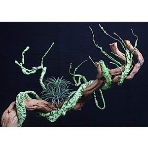 Jungle Vines Flexible Pet Habitat Decor for Lizards, Frogs, Snakes and Other Reptiles