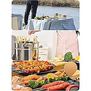 AIZYR Stainless Steel Charcoal Grill - Portable Smokeless Grill with BBQ Accessories Kit for Outdoor Cooking Camping Picnics,40 * 40cm