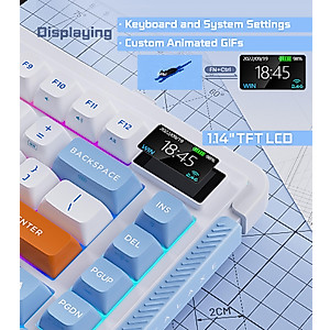ROYALAXE L75 Wireless Mechanical Keyboard, Hot-swappable Wired/Bluetooth 5.0/2.4G Wireless Keyboard with RGB Backlit for Windows & Mac, PBT Keycaps, Gateron Yellow Switch Pro, Navy White