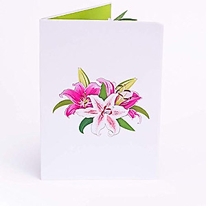 TRUANCE Pop Up Greeting Card Lily Flower- 3D Cards For Birthday, Anniversary, Mothers Day, Thank You Cards, Card for Mom, Congratulation Card, Love Card, All Occasion