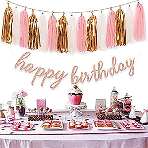 Aonor Rose Gold Birthday Party Decorations - Glittery Rose Gold Happy Birthday Banner and Tissue Paper Tassels Garland for Birthday Decorations