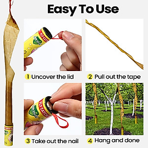 Qualirey 160 Pack Fly Strips Sticky Fly Trap Indoor Outdoor Hanging Fly Ribbon Tape Paper Flying Insect Trap Gnat Killer Traps for Fruit Flies, Bug, Insect, Pest (Yellow)